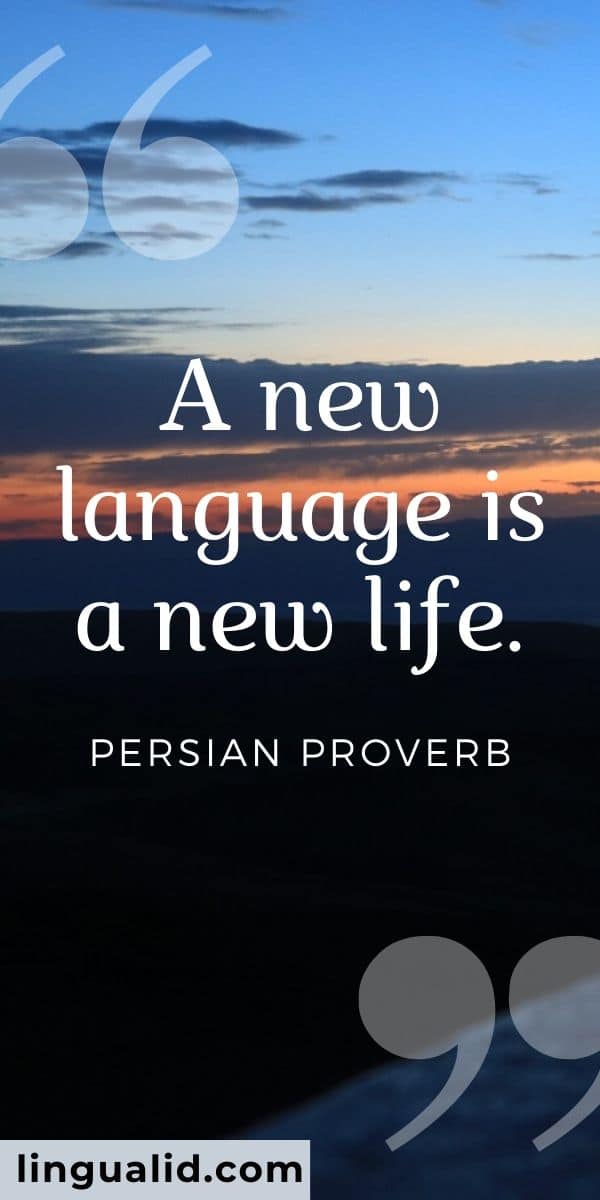 58 Great Inspirational Quotes for Language Learners - Lingualid