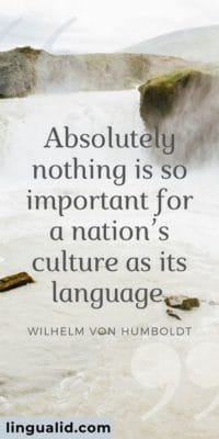 58 Great Inspirational Quotes for Language Learners - Lingualid