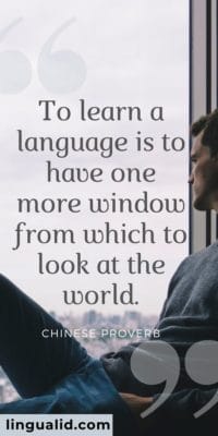 58 Great Inspirational Quotes for Language Learners - Lingualid