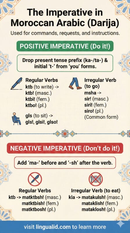 Imperative In Moroccan Arabic - Lingualid