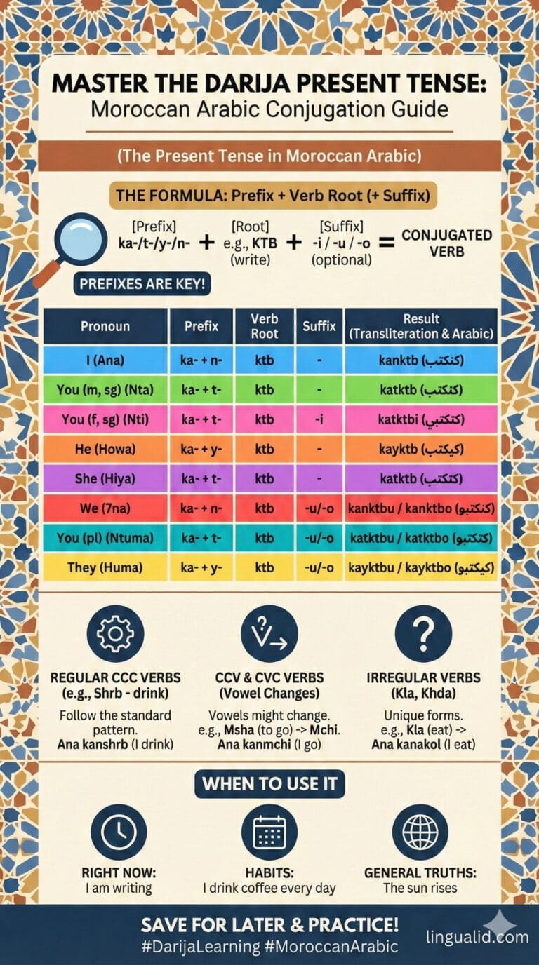 Present Tense In Moroccan Arabic - Lingualid