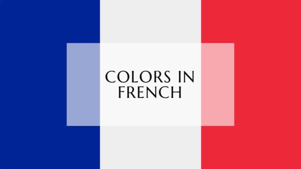 Colors In French [AUDIO included] - Lingualid