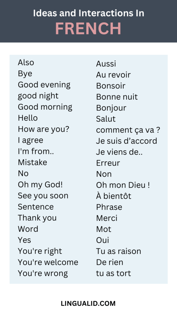 Top 200 Common Nouns In French [AUDIO included] - Lingualid