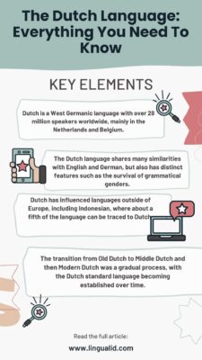 The Dutch Language: Everything You Need To Know - Lingualid