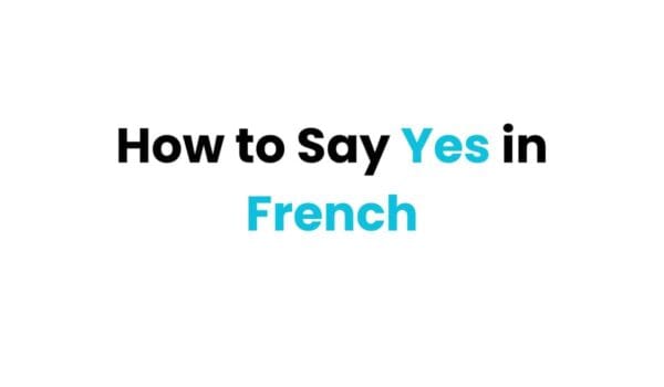 Learn How To Say "Yes" in French - Lingualid