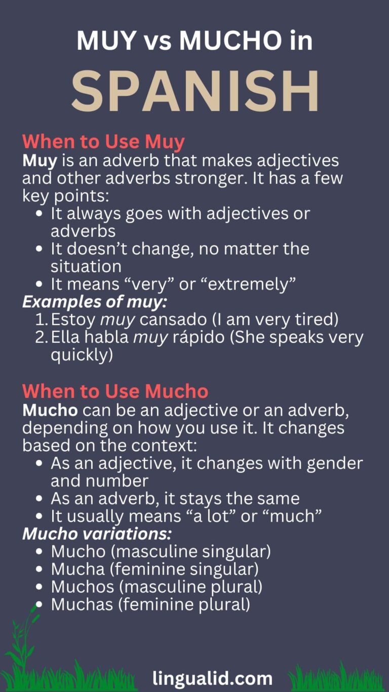 Understanding the Difference: Muy vs Mucho in Spanish