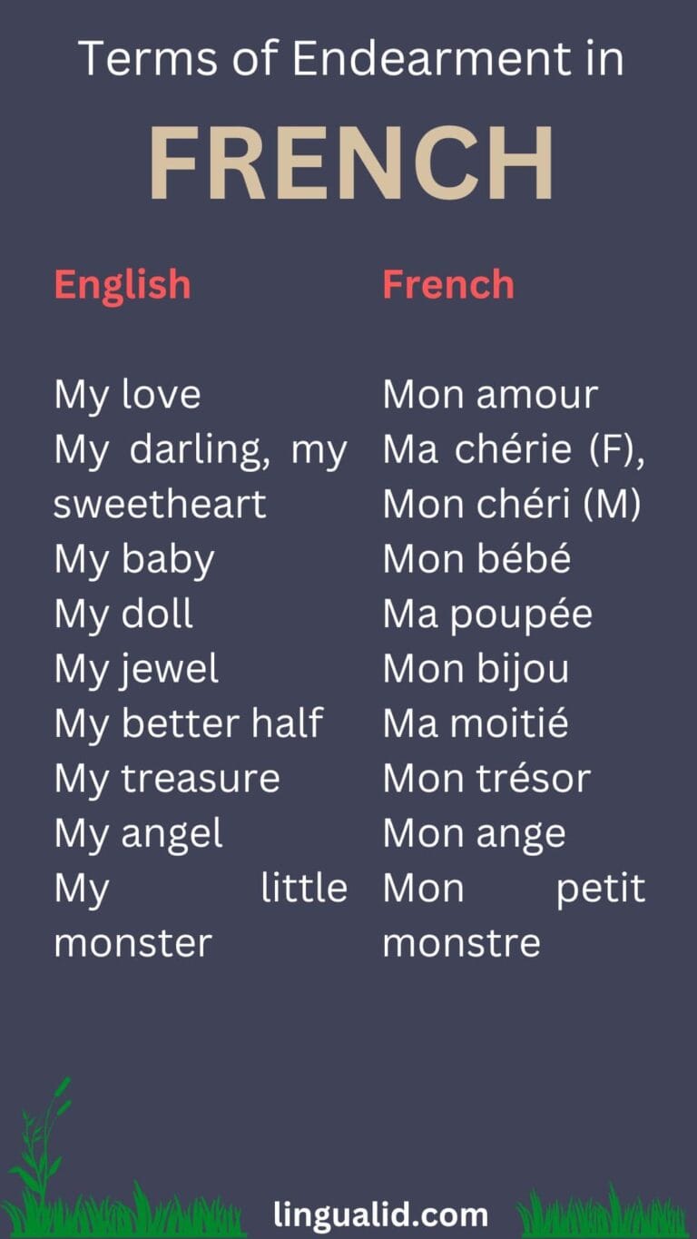 Sweet Romantic Phrases in French for Lovers